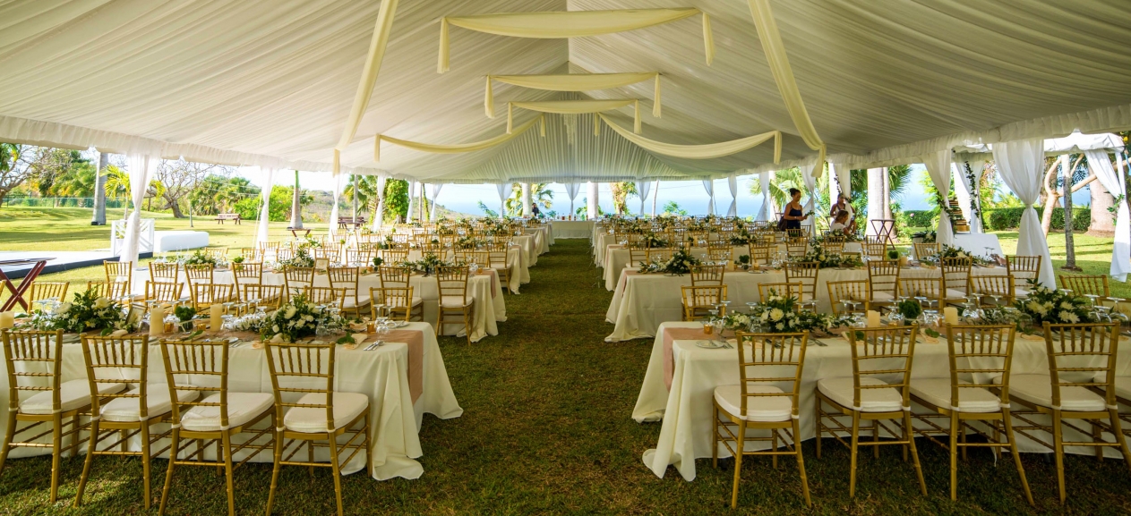 Island Bliss Weddings | Loop Barbados